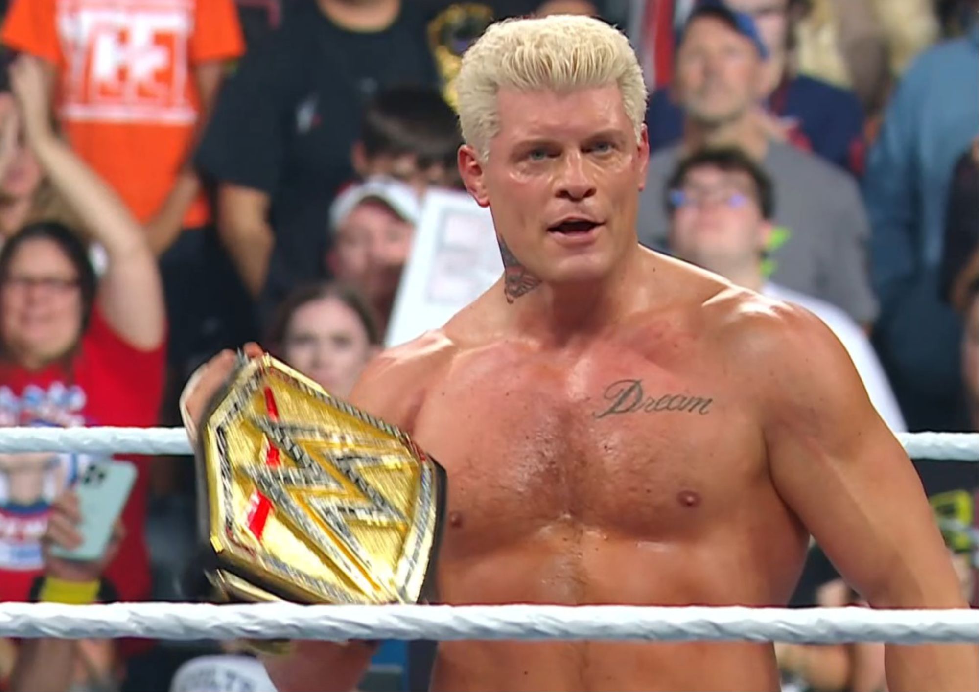 WWE Wrestlepalooza: Champ Cody Rhodes Retains Over Drew McIntyre