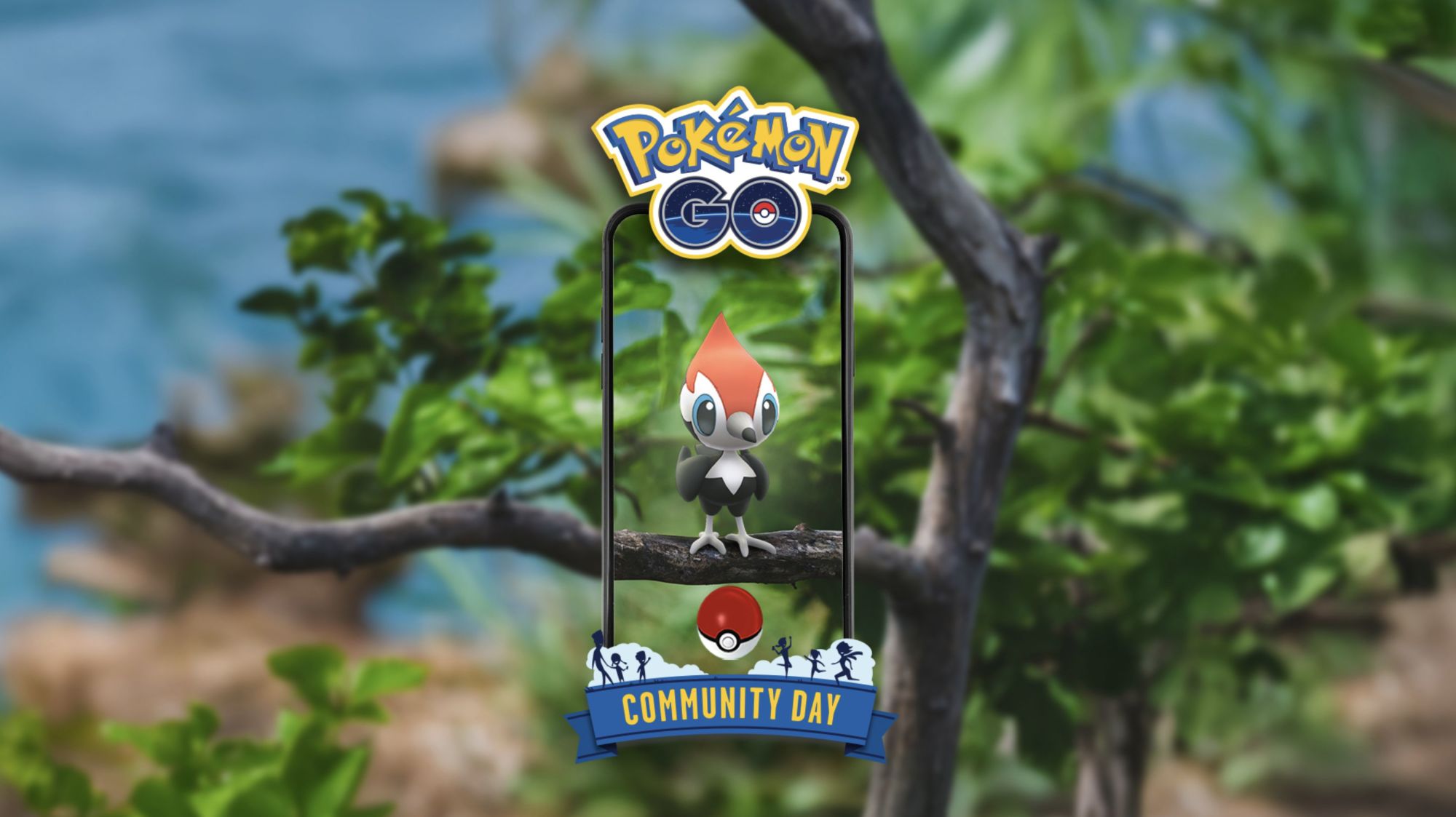 Pikipek Community Day Comes to Pokémon GO This November