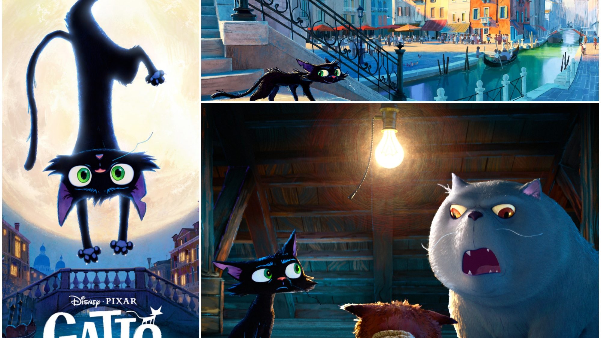 Gatto: Official Teaser Trailer, Logo, Poster, And Image Released