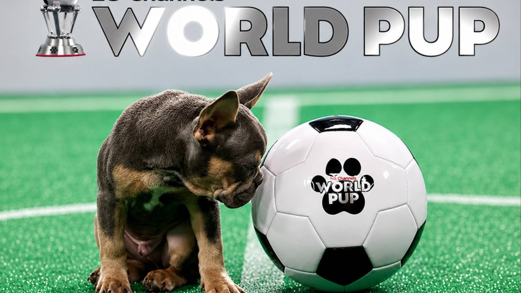 Puppy Bowl Producers Offer Canine Competition with World Cup Theme